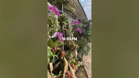 직장인 금요일 브이로그 직장인브이로그 Vlog 일상 Youtube