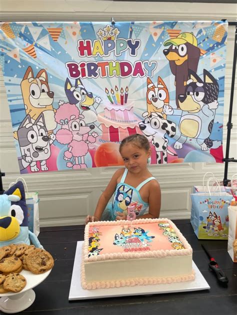 Pink Bluey Birthday Cake Bluey Backdrop Bluey Swimsuit Disney