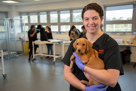 Edinburgh University Future Vets Scotland