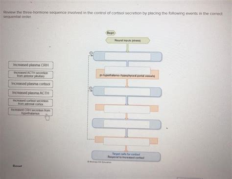 solved review the three hormone sequence involved in the