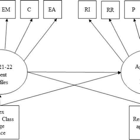 conceptual model illustrating the latent profile and latent transition
