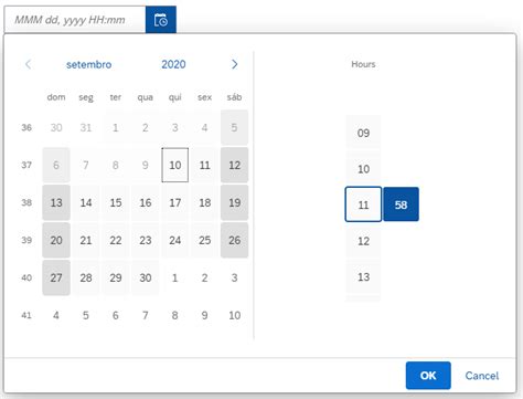 Ui Datetime Picker It S Not Possible To Set A Language For The Component Issue SAP