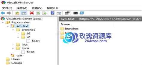 Svn服务器与客户端安装及详细使用教程 Svn服务器与客户端安装及详细使用教程