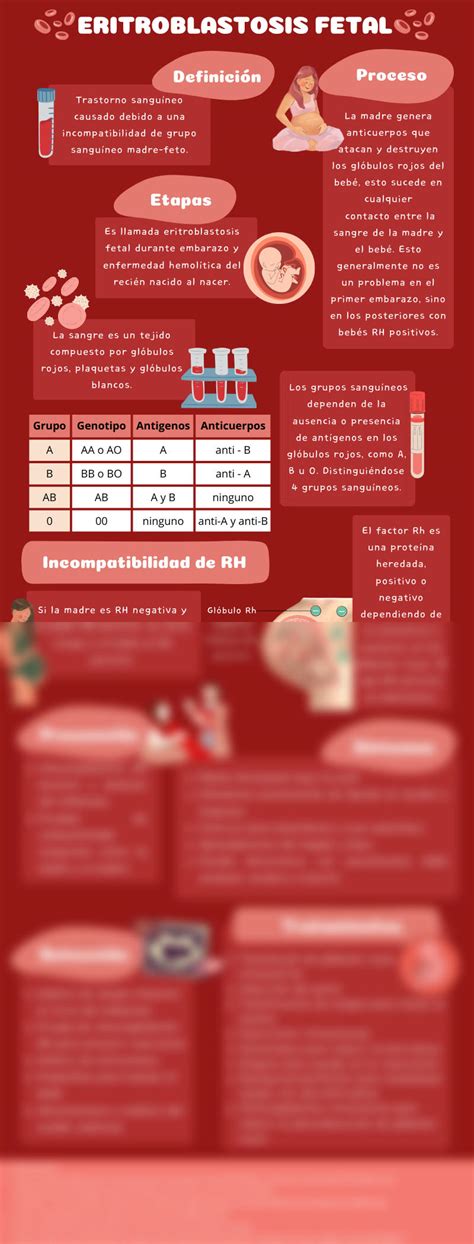 SOLUTION Infografía sobre las causas de la eritroblastosis fetal Studypool
