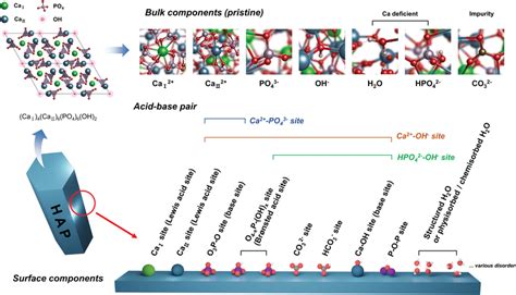 A Schematic Summary Of Bulk And Surface Components Of Pristine Hap Nps Download Scientific