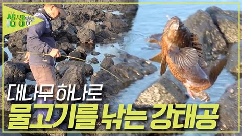 바닷가 바위 틈 사이로 대나무 낚시대를 넣었더니제주 바다에 나타난 미스터리한 낚시꾼의 정체는 2tv 생생정보 Kbs 231120 방송 Youtube