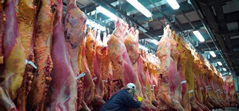 Beef Meat Processing Steps Technology Equipment And Beef Products