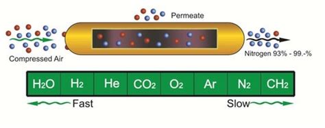 Nitrogen Generation System By Membrane At Best Price In Delhi Calorie Hnt Private Limited