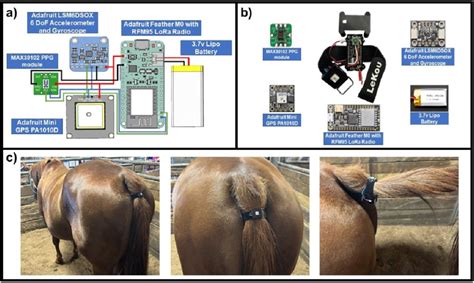Overview Of The Multifunctional Wearable Sensor A Layout Of The Download Scientific Diagram