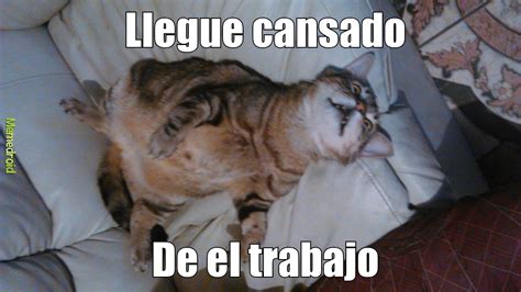 Gatito Sexy Meme Subido Por Matix121fiestero Memedroid