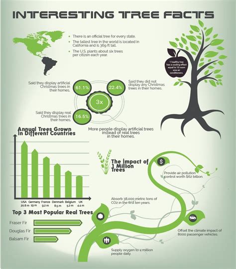 Interesting Tree Facts Infographic Facts About Plants Importance Of Trees