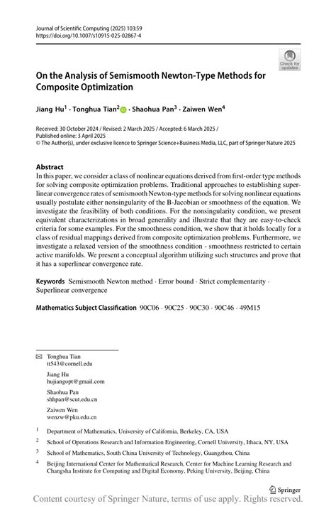 On The Analysis Of Semismooth Newton Type Methods For Composite
