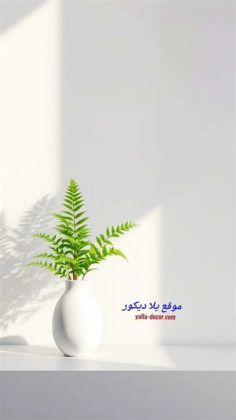 دهانات وألوان حوائط 2026 احدث الوان الدهانات موقع يلا ديكور