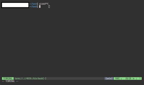 Double Cursors In Neovim Terminal Buffer And Fzf Probably More Issue Microsoft