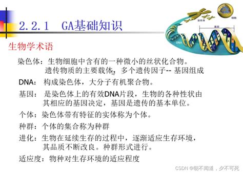 智能信息处理笔记 遗传算法 树编码为基因 csdn博客