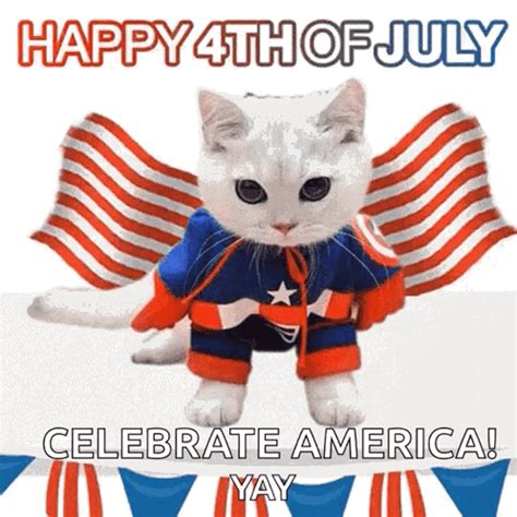 4th Of July Funny Cat