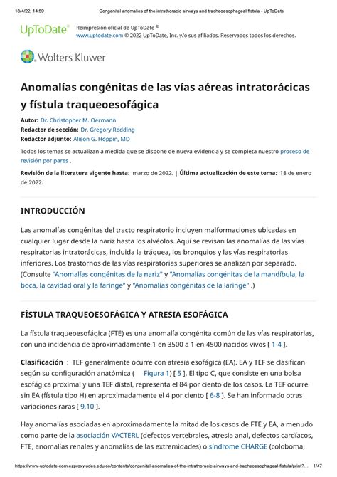 Congenital Anomalies Of The Intrathoracic Airways And Tracheoesophageal Fistula Up To Date