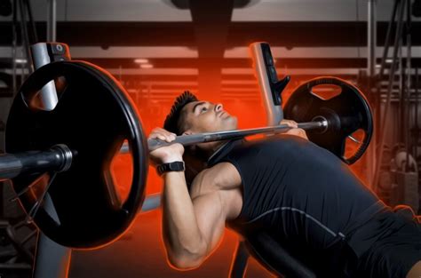 Гильотинный жим | ЦДПО InstructorPRO