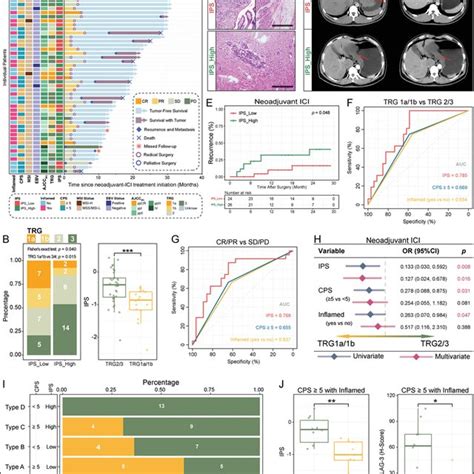 Ips Accurately Predicts The Neoadjuvant Ici Therapy Response A