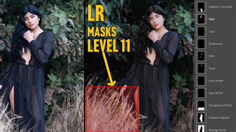 lr masks at level 11 with speed masks and object masking