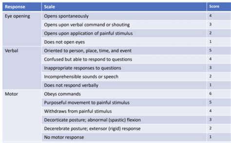 EMT Quick Reference Flashcards Quizlet