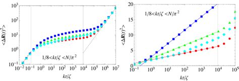 The Mean Squared Displacement ∆r N T 2 For Beads In A Square Membrane
