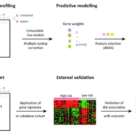 Identification Of Novel Prognostic Gene Signatures A Selection Of Download Scientific Diagram