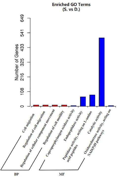 Go Term Enrichment For Significantly Different Mirna Download Scientific Diagram