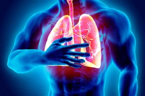 Surprising Ways Your Body Can Heal Itself Psychic Cafe Tauranga