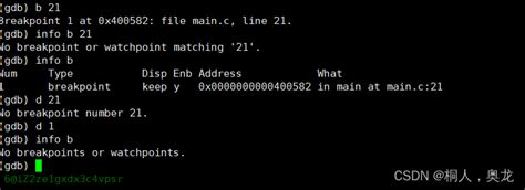Linux关于make，makefile和gdb的使用怎么用make 加入源代码信息 用于gdb调试 Csdn博客