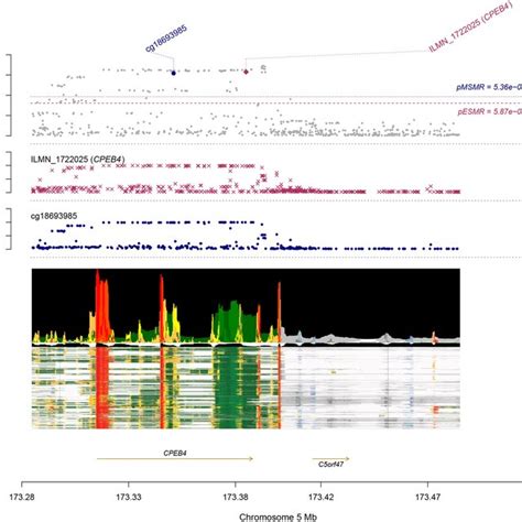 results of snp and smr associations across mqtl eqtl and gwas at the