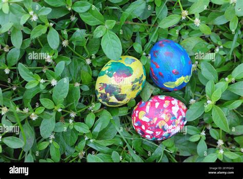 Easter Sunday Concept Three Colorful Eggs Hidden On Grass Garden With