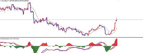 有没有人喜欢用macd双线技术指标进行交易看盘的？交流贴 技术指标 Mql5 算法交易论坛
