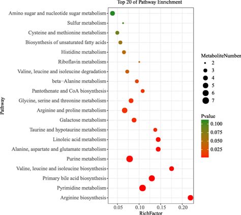 Metabolic Pathway Enrichment Analysis Overview Of Metabolites That
