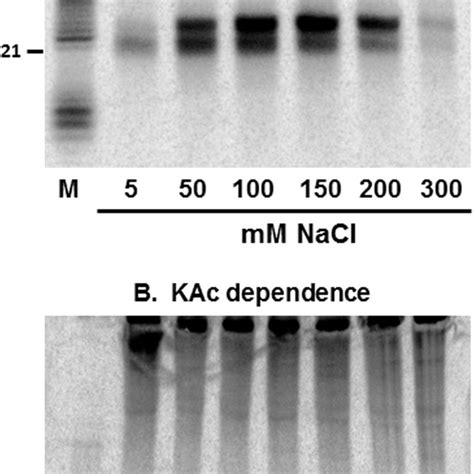 Requirements Of Salt For Dcl Activities A Nacl Dependency Of Dcl Download Scientific Diagram