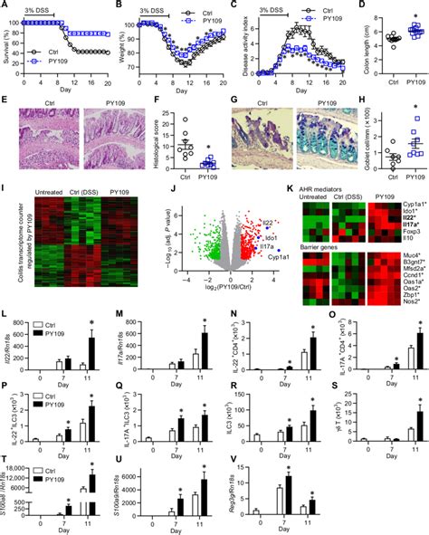 Py109 Attenuates Dss Induced Colitis In Mice Mice In Colitis Model Download Scientific Diagram