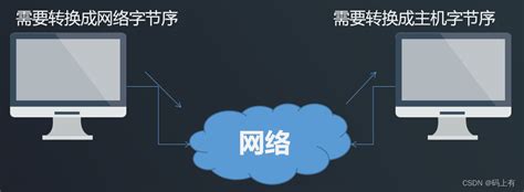 字节序及ip地址转换 ip地址转换主机序 csdn博客