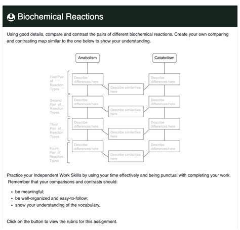 Solved Also Make Sure To Follow All Of The Rubric And Get Me