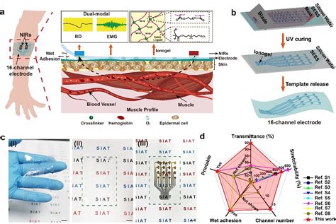 New Stretchable Electrodes For Dual Modal Muscle Monitoring Mirage News