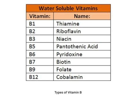 Vitamin B And Its Types Fabby Web Business Mobiles Cricket
