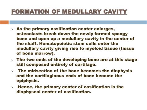 Endochondral Bone Formation Pptx