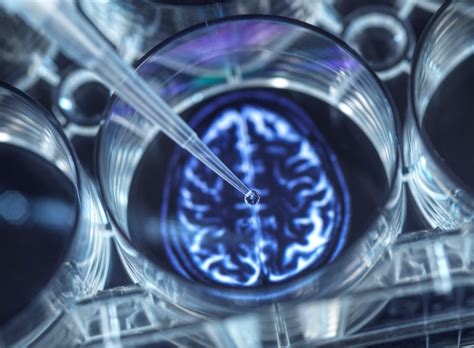 Is Consciousness Research The Next Big Quantum Use Case