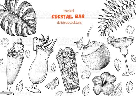 알코올 칵테일 손으로 그린 벡터 일러스트레이션 칵테일 스케치 세트 각인 된 스타일 열대 컬렉션 싱가포르 슬링 피나 콜라다 모히토