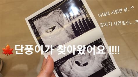 단풍아사랑해🍁 매일이 불안한 임신6주차 건강한 심장소리 듣던날 Youtube