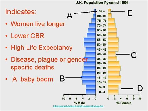 Population Pyramids Population Pyramid Or Agesex Ratio 1931