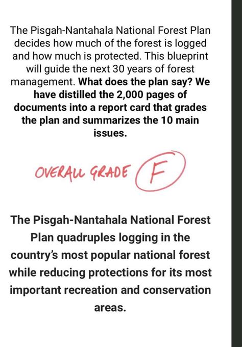 Micah Bock Madison Cawthorns Director Of Communications Admits To