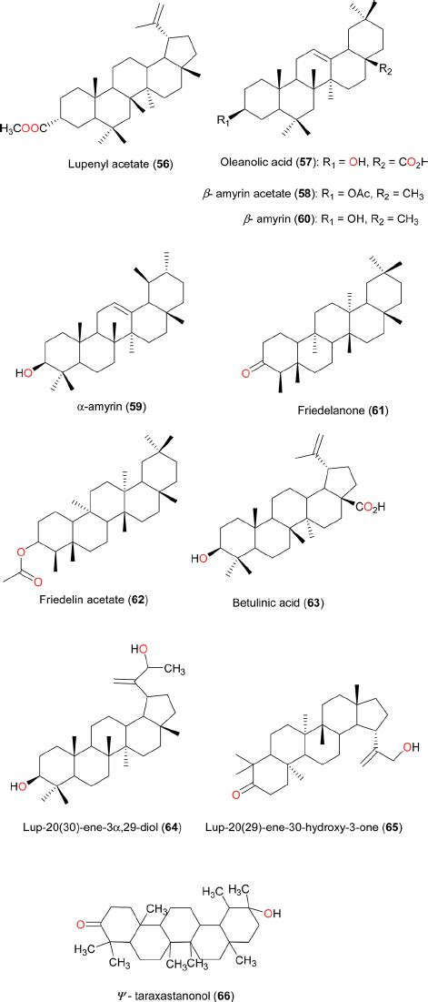 Chemical Structures Of Abietane Diterpenes Labdane Type Diterpenes Download Scientific