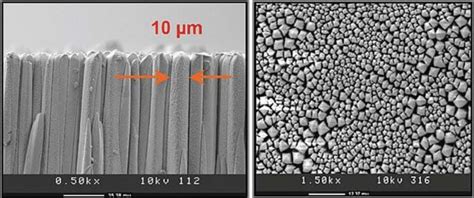 28 Scanning Electron Microscope Micrographs Of Microcolumnar Csitl Eu