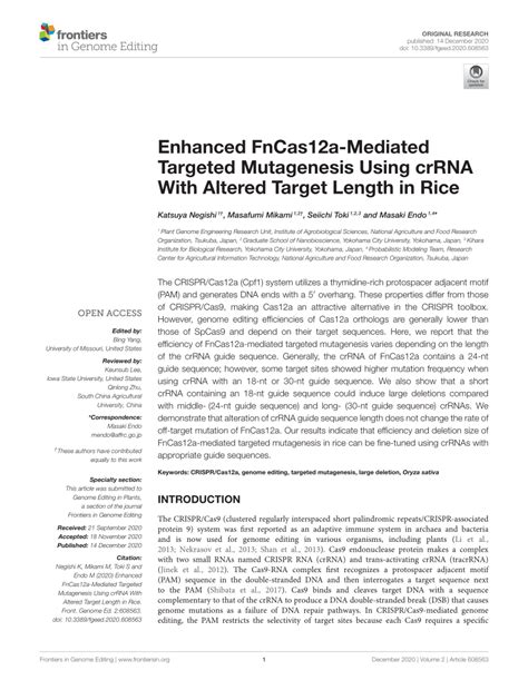 Pdf Enhanced Fncas12a Mediated Targeted Mutagenesis Using Crrna With