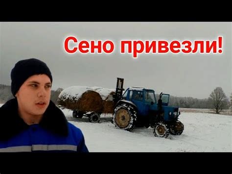 Стоимость сена для коров! Суматошный денёк на хуторе. - YouTube